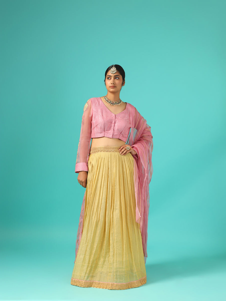 Bulbul (ಬುಲ್ಬುಲ್) in Pink Cherub and Double Cream – Latha Puttanna ...